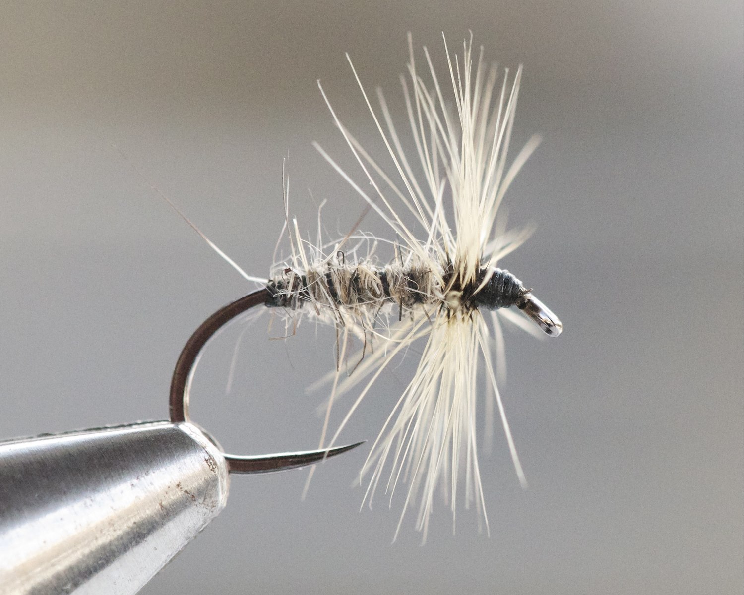 Simple Stiff Hackle (Futsu) Kebari with Dubbed Body: By Robb Chunco