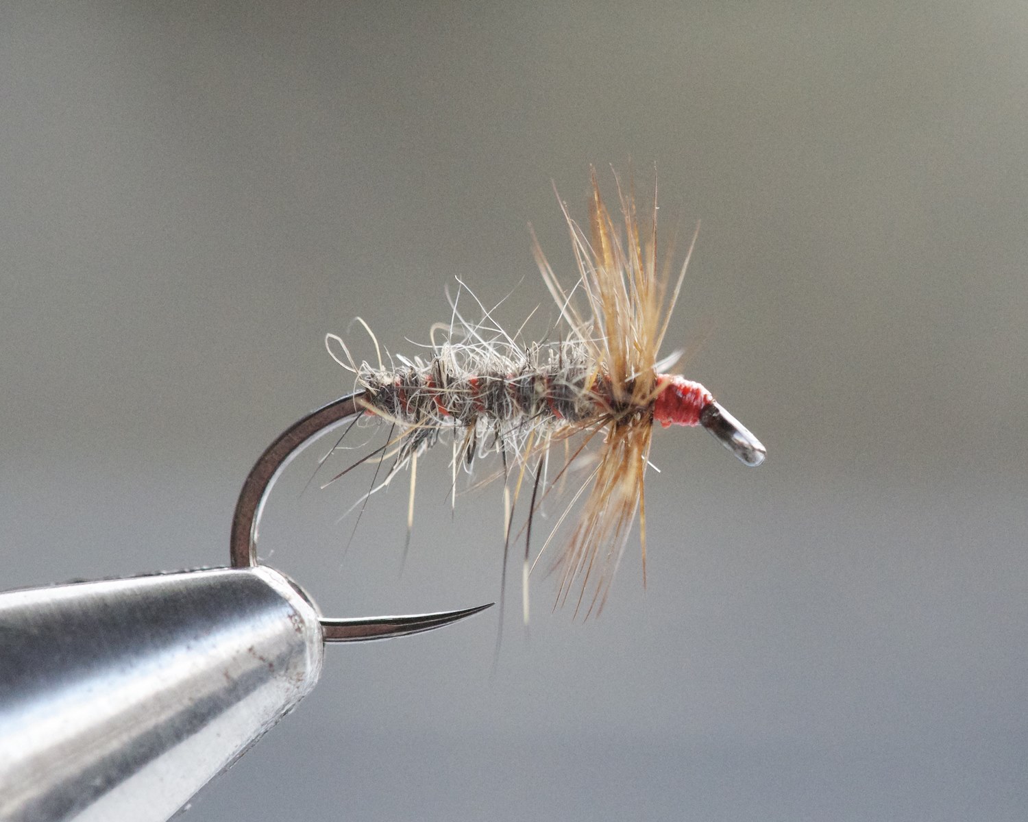 Simple Stiff Hackle (Futsu) Kebari with Dubbed Body: By Robb Chunco