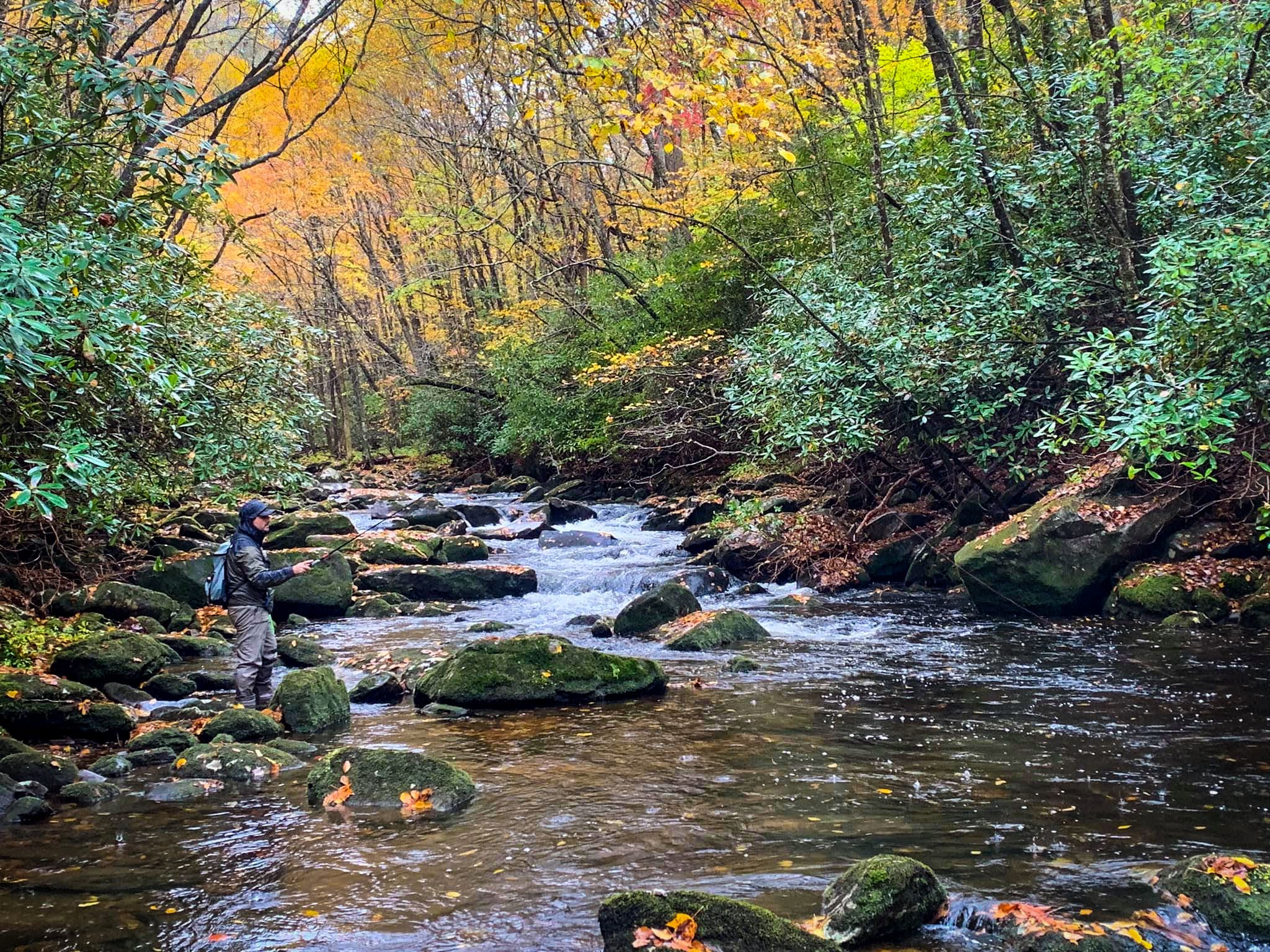 Wonderfully Wet in Western North Carolina | Tenkara Angler