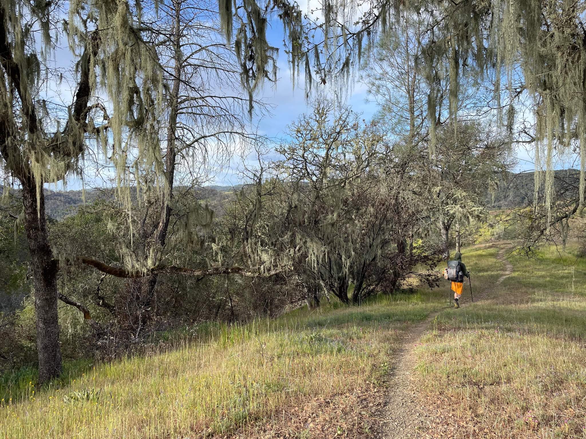 Henry Coe State Park Trip Report: Article by Nick Feller | Tenkara Angler