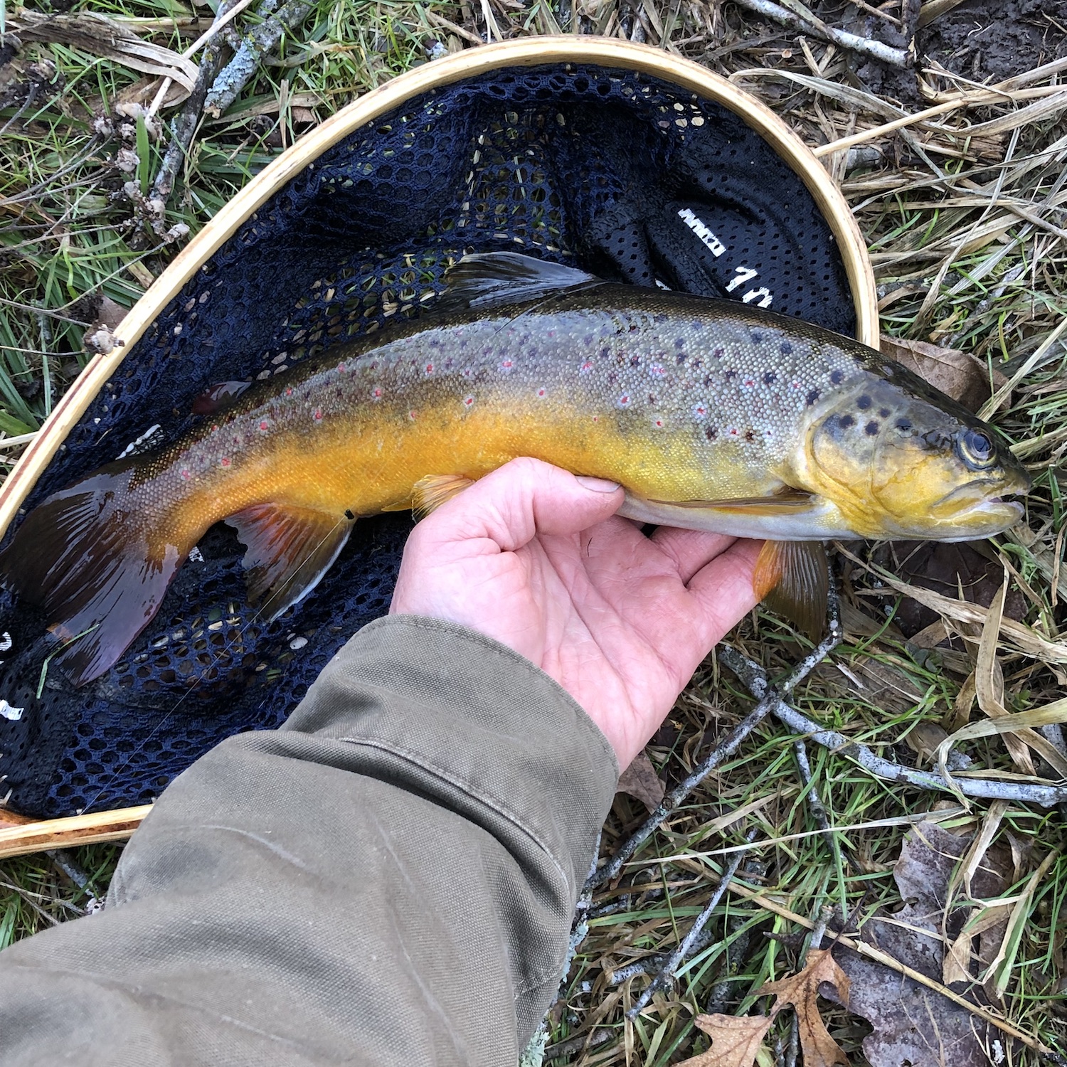 Report from Iowa: Some Firsts from a First Outing on the First ...