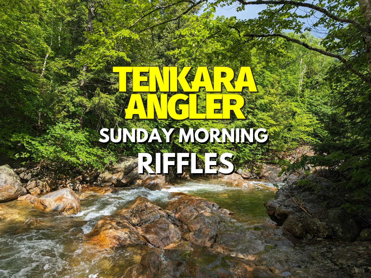 Sunday Morning Riffles - 7/7/2024 | Tenkara Angler